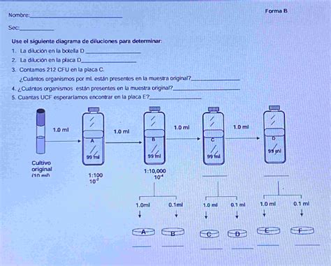 Solved Nombre Sec Use El Siguiente Diagrama De Diluciones