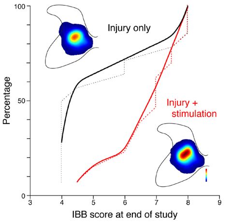 New Paper Motor Cortex And Spinal Cord Neuromodulation Promote Corticospinal Tract Axonal