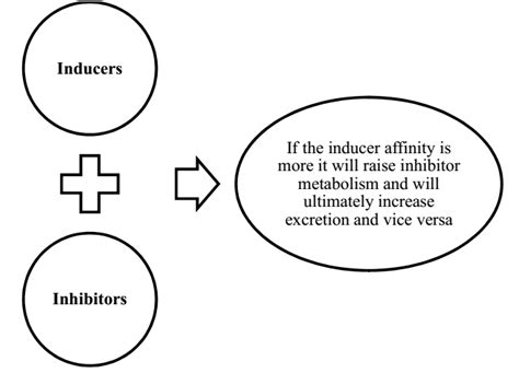 5 Concept Of Enzymes Inducers And Inhibitors Interactions Download Scientific Diagram