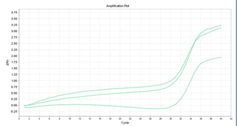 Has Anyone Seen Qpcr Amplification Curves Of This Format Researchgate