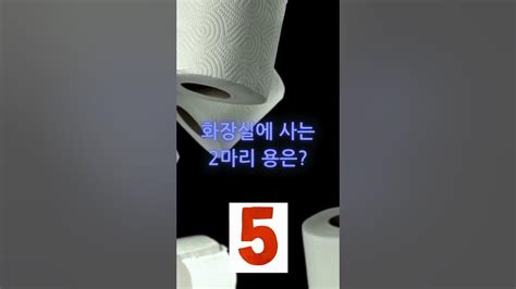 넌센스퀴즈 8 화장실에 사는 두마리 용은 Youtube