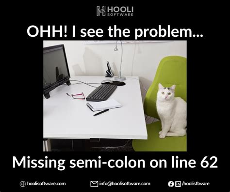hooli software on linkedin happymonday programmingmeme qatesters softwaredevelopment…