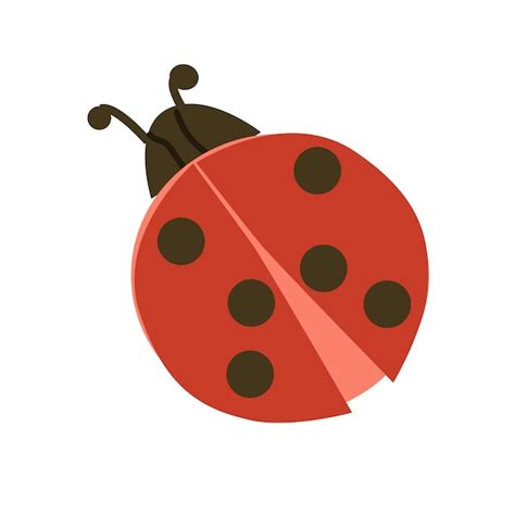 Premium Vector Small Beautiful Insect Red With Spots Lady Bug Premium Vector Small Beautiful Insect Red With Spots Lady Bug
