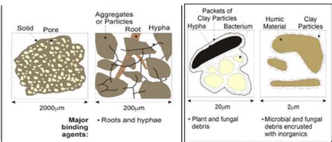 Soil Structure