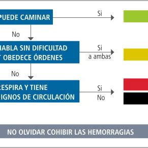 Algoritmo de un modelo diseñado en españa de primer triage Download Scientific Diagram