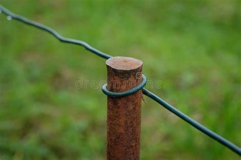 Rusty Steel Post With Wire Fence Stock Image Image Of Farm Nature