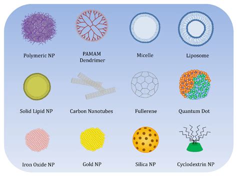 Representation Of The Different Kinds Of Nps Included In This Review