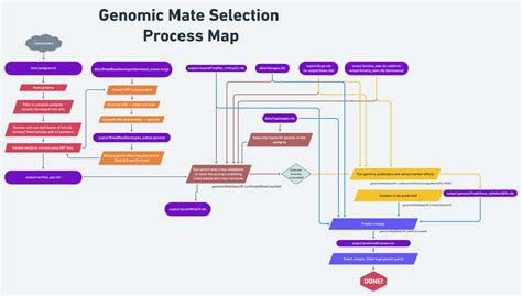 Chapter 4 Process Maps Genomic Prediction And Selection Manual