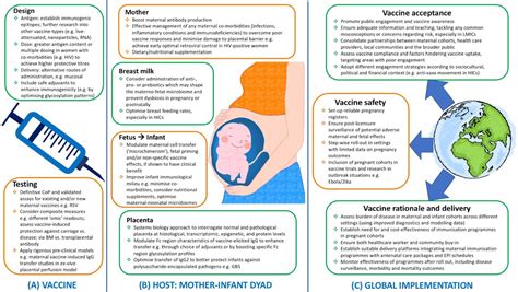 Frontiers Maternal Immunization Nature Meets Nurture