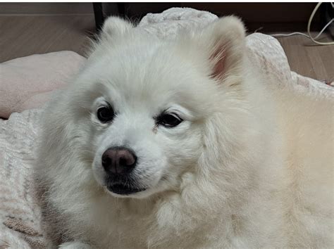 Bci뇌 컴퓨터 인터페이스 뇌와 기술의 연결