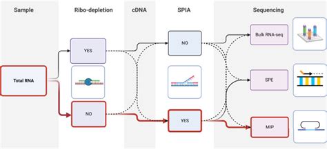Teal Seq Targeted Expression Analysis Sequencing Pmc