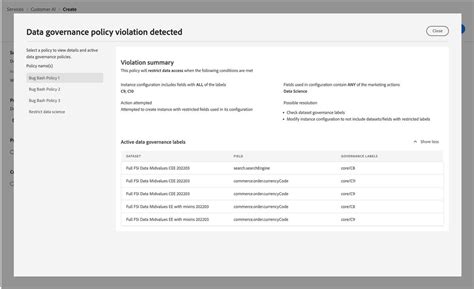 Governance Policies For Customer Ai Adobe Experience Platform