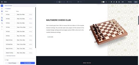Using Design Variables With Presets In Divi 5