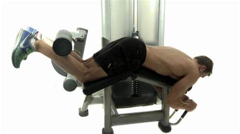 Lying Hamstring Curls