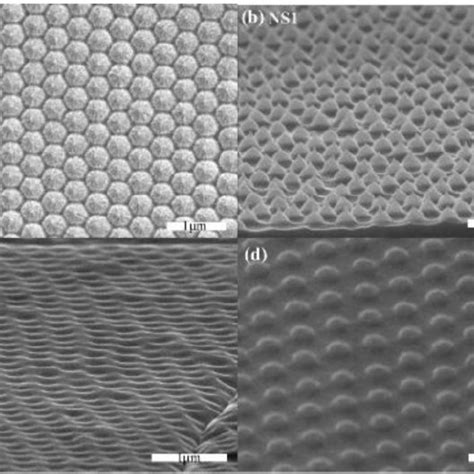 Pdf Biomimetic Nanostructured Antireflection Coating And Its Application On Crystalline
