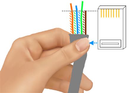 Практическое занятие 1 Обжим витой пары