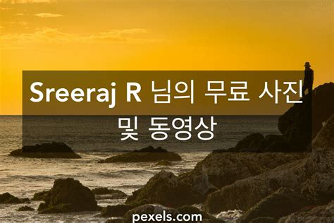 sreeraj r 사진