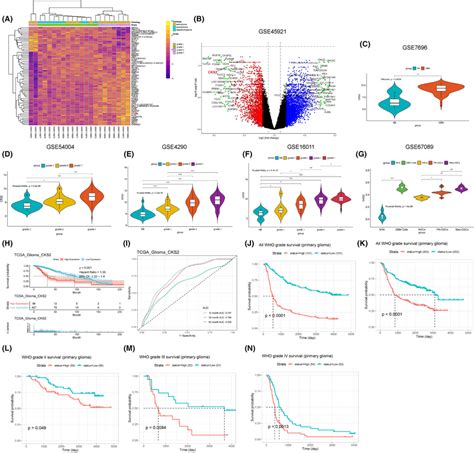 Cks2 Expression Patterns In Glioma A B Heatmap And Volcano Plots Of