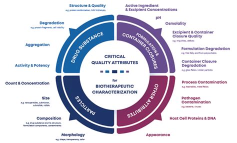 The Role Of Orthogonal And Complementary Analytical Techniques