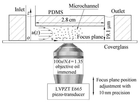 Schematic Diagram Of The Experimental Setup The Measured Position Is
