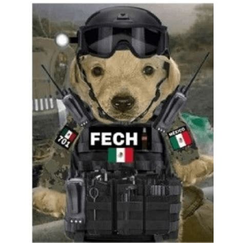 Perritos Belicos