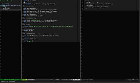 Nginx как обратный прокси на Docker By Igor Olemskoi Southbridge Medium
