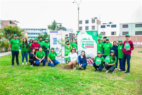 Curso De Base De Datos Oracle 12c Universidad Privada San Juan Bautista