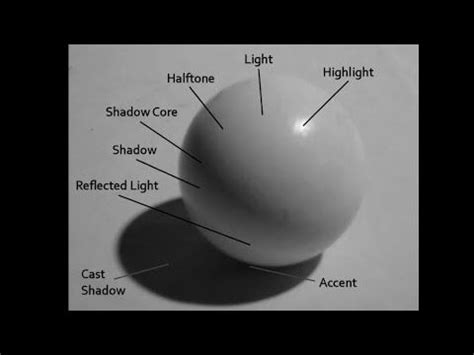 How To Draw A Sphere With Shadow Label Drawing Tutorial YouTube Shadow Drawing Art
