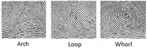 Forensic Science Stem Challenge Cagis Clubhouse