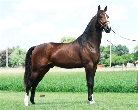 Windward Media Group Added A New Photo Windward Media Group