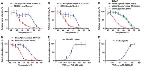 Monitoring Drug Target Engagement In Cells And Tissues Using The Cellular Thermal Shift Assay