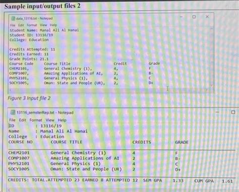 solved problem write a program that reads from an input