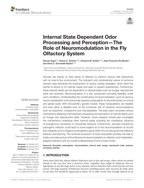 Pdf Internal State Dependent Odor Processing And Perception—the Role Of Neuromodulation In The