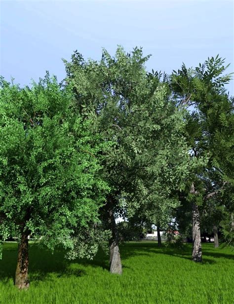 My Special Tree Render State