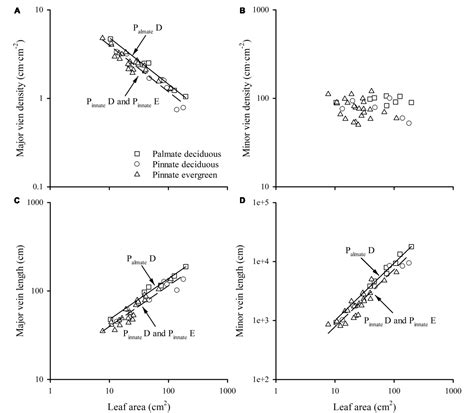 Leaf Venation Architecture In Relation To Leaf Size Across Leaf Habits And Vein Types In