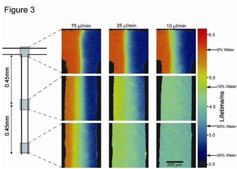 Figure 1 From Quantitative Spatial Mapping Of Mixing In Microfluidic Systems Semantic Scholar