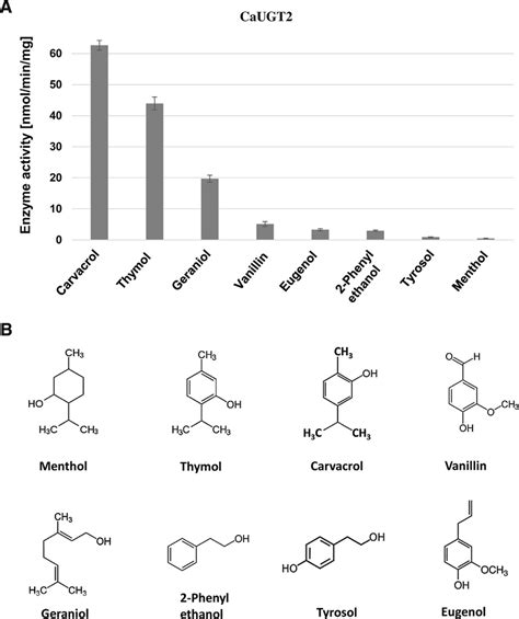 Substrate Specificity Of Caugt2 A The Catalytic Activities Of Download Scientific Diagram