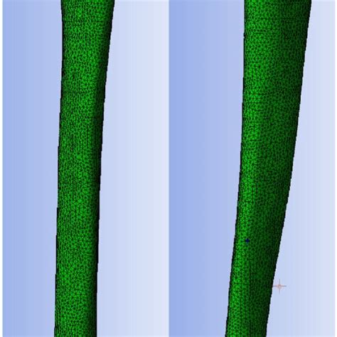 Mesh Of The Finite Element Model Download Scientific Diagram
