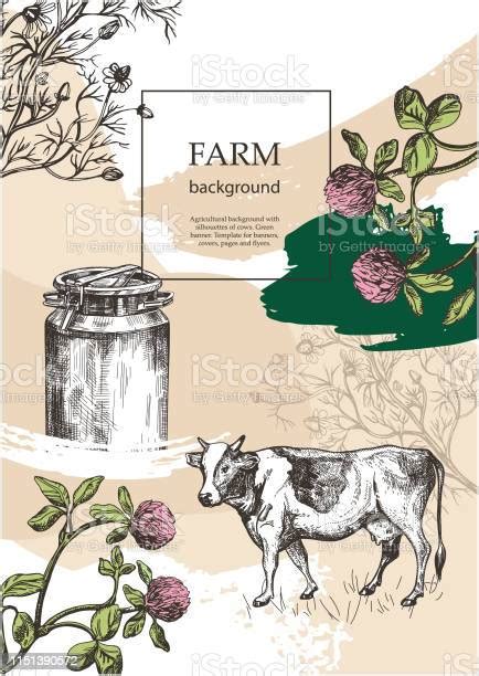 농업 브로셔 샘플 커버 우유 수 소와 초원 꽃입니다 유제품 농장에 대 한 템플릿입니다 전단지 배너 포스터에 대 한 배경입니다 스케치 벡터 일러스트입니다 우유통에 대한 스톡