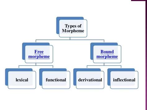 Morphology 150301031003 Conversion Gate01 Pptx Geology Science