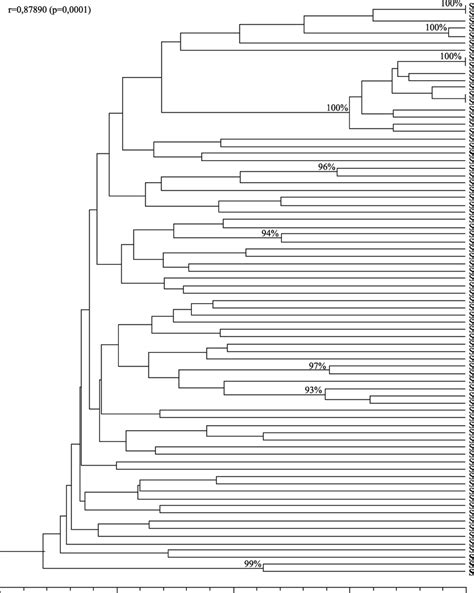 Dendrogram Generated From The Genetic Similarity Using The Jaccard Download Scientific Diagram