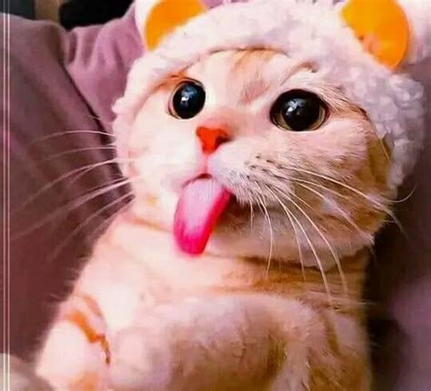 پنجابی شہزادے😜