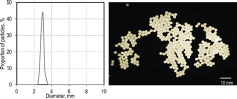 Encapsulation Of P Putida Into Alginate Beads Left Pannel Size Download Scientific Diagram