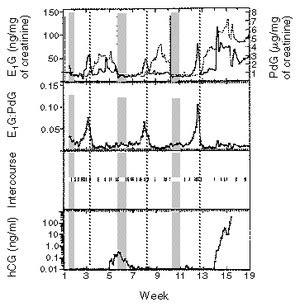 Intercourse Method Between Men And Women