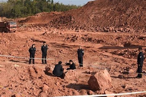 Restos Fosiles Infobae