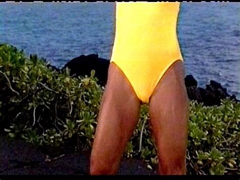 Denise Austin Fan Pictures