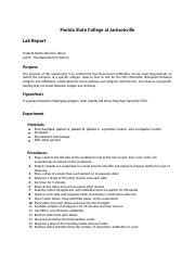 LabReport Reproductive System Docx Florida State College At Jacksonville Lab Report Babe