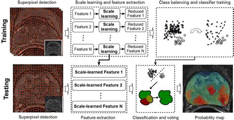 Pipeline Of The New Discrn Approach At The Training Stage Superpixel Download Scientific