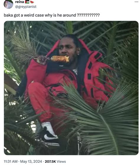 Baka Got A Weird Case Why Is He Around Baka Got A Weird Case Why