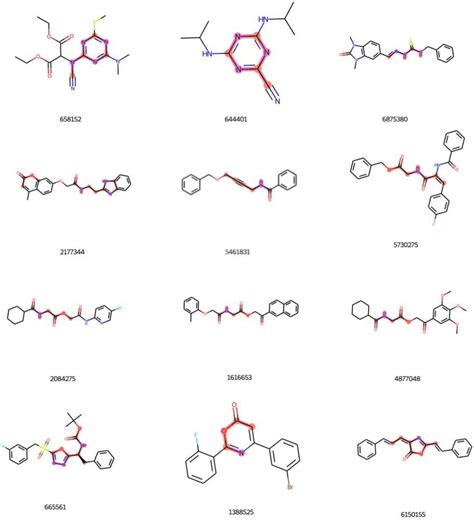 Topologies Of Representative Active Molecules In The Validation Set